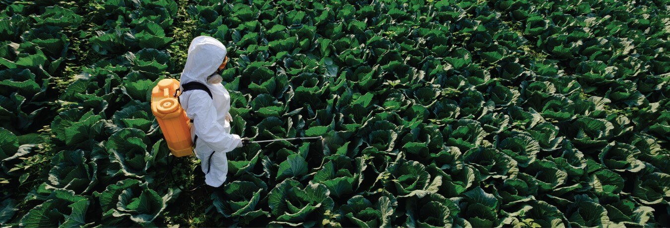 ISO 16602: What You Need to Know