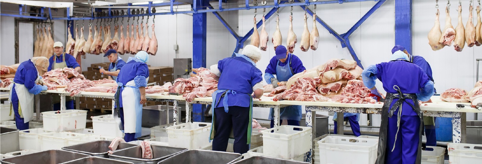 Meatpacking Protective Clothing and Protocols to Prevent Disease Spread