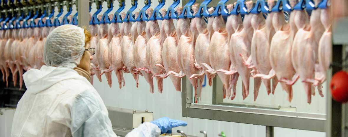 Food Processing Cleanroom: Types and Requirements